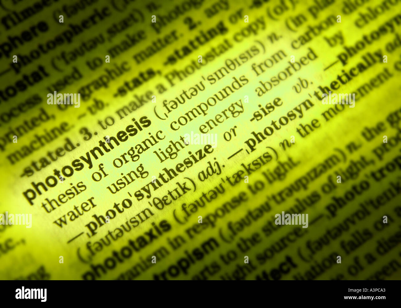 CLOSE UP OF DICTIONARY PAGE SHOWING DEFINITION OF THE WORD ...