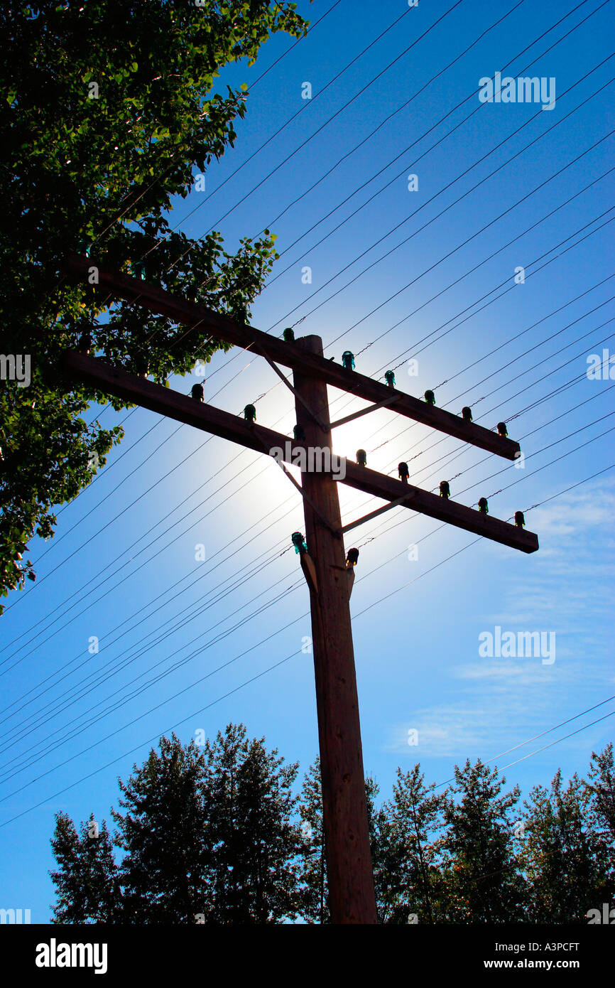 Canted Telephone Poles