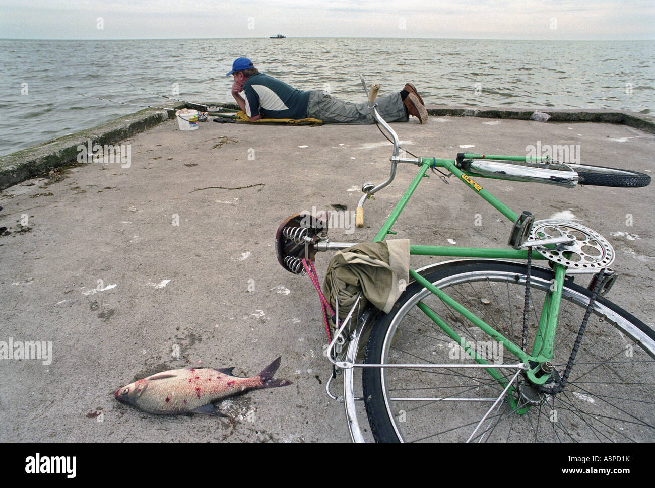 Curonian spit bike hi-res stock photography and images - Alamy