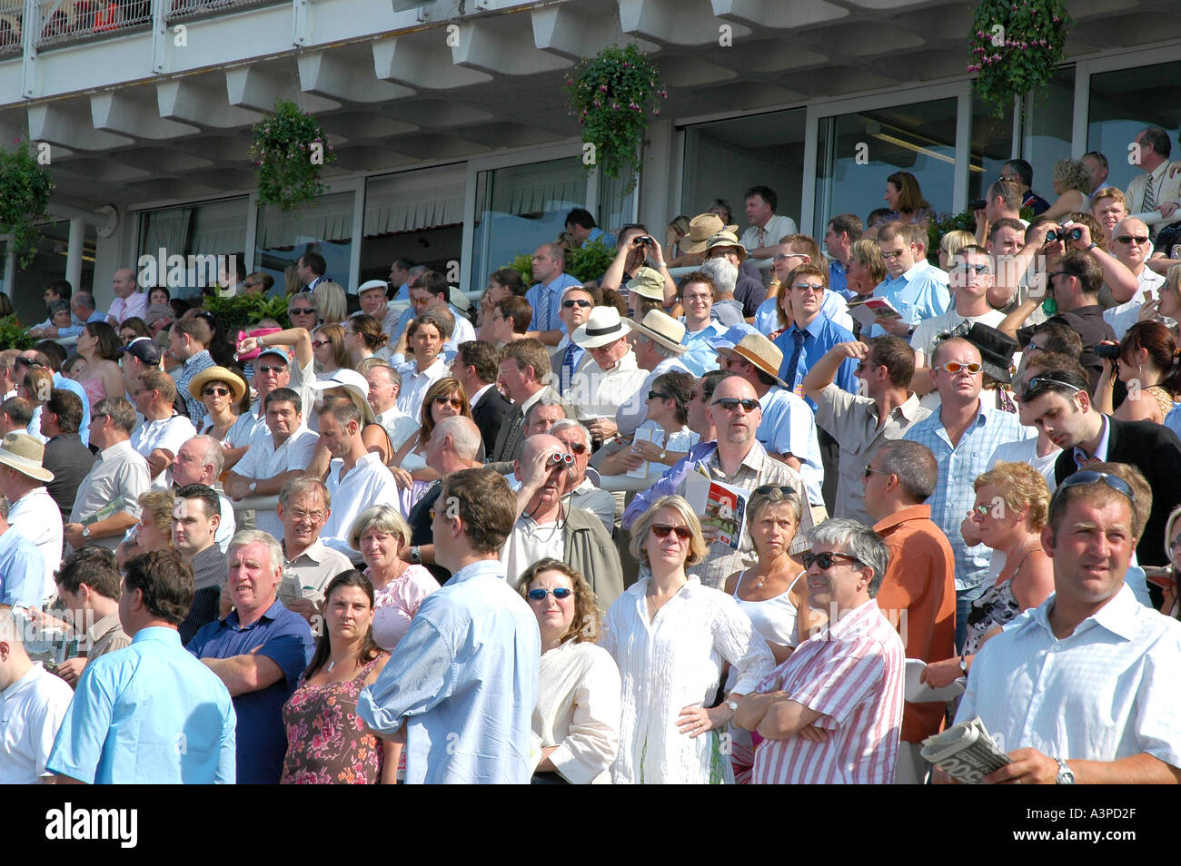 Horse race racing crowd scene Stock Photo - Alamy