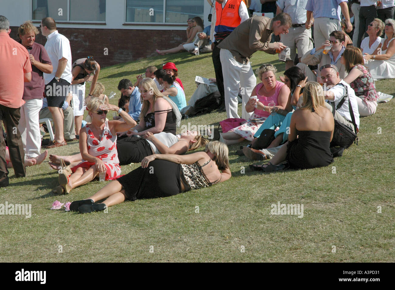 Horse race racing crowd scene Stock Photo - Alamy
