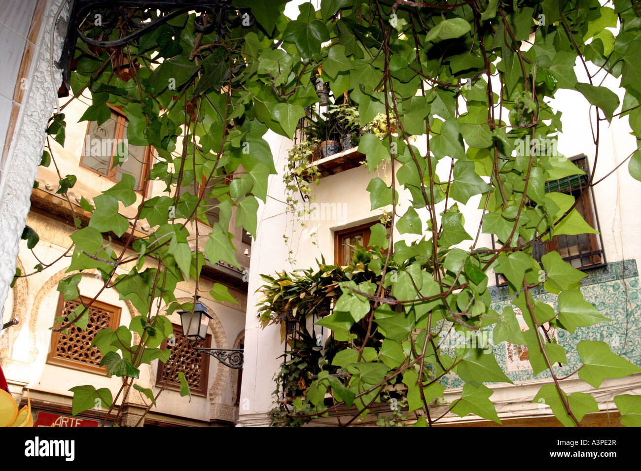 hanging ivy, courtyard,Granada, Spain Stock Photo - Alamy
