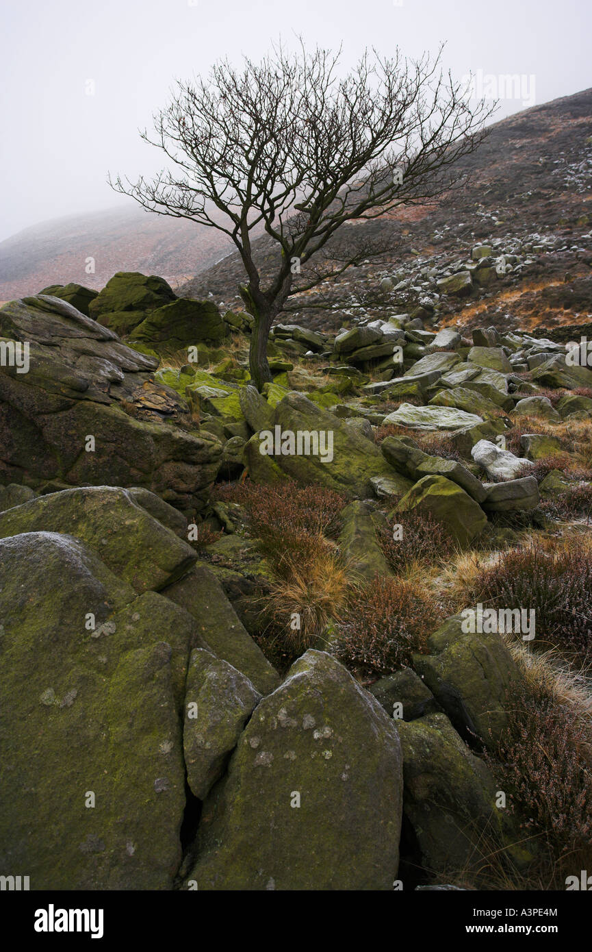 Moorland in winter above Torside Reservoir in the Longdendale Valley ...