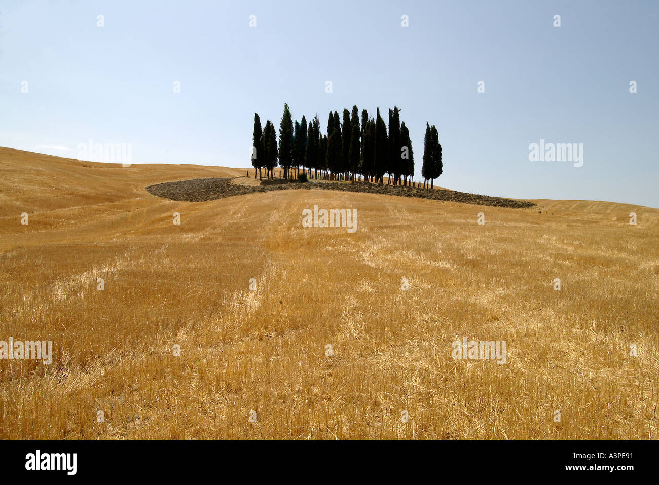 Harvested wheat field tuscany hi-res stock photography and images - Alamy