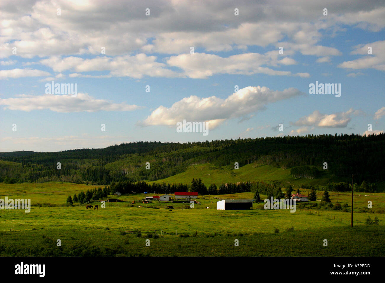 Horizontal Farm in the Foothills of the Rocky Mountains Canada Stock ...