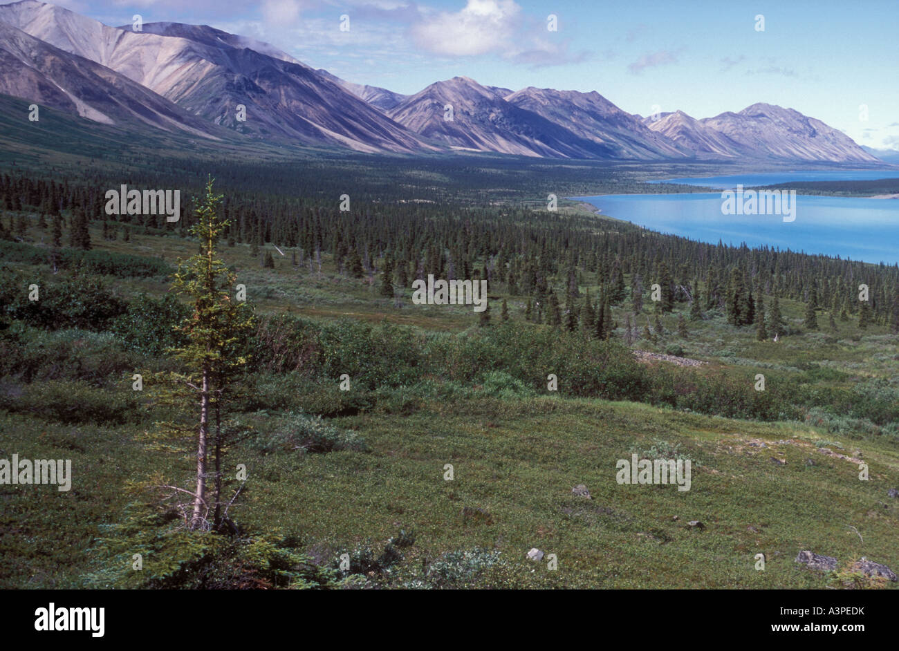 Twin Lakes and Chigmit Mountains Lake Clark National park Alaska Stock ...