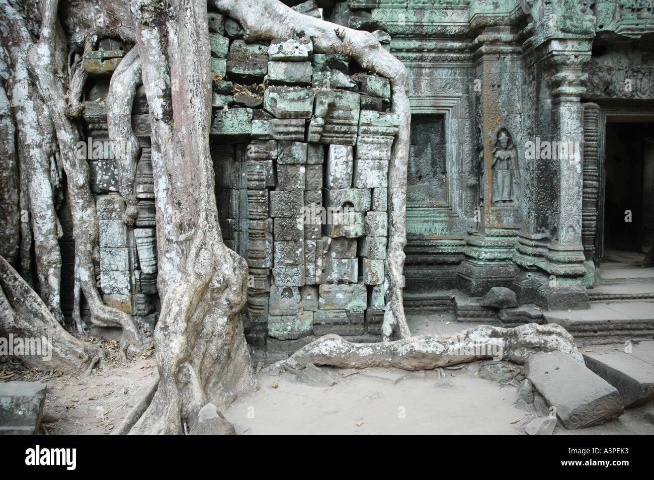 Ta prohm pillars hi-res stock photography and images - Alamy