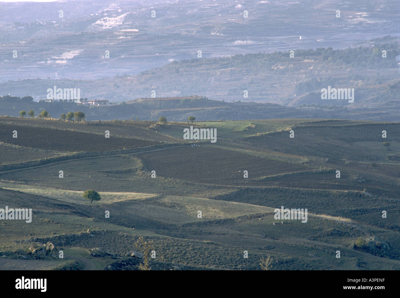 Fields at dawn Cyprus Stock Photo - Alamy