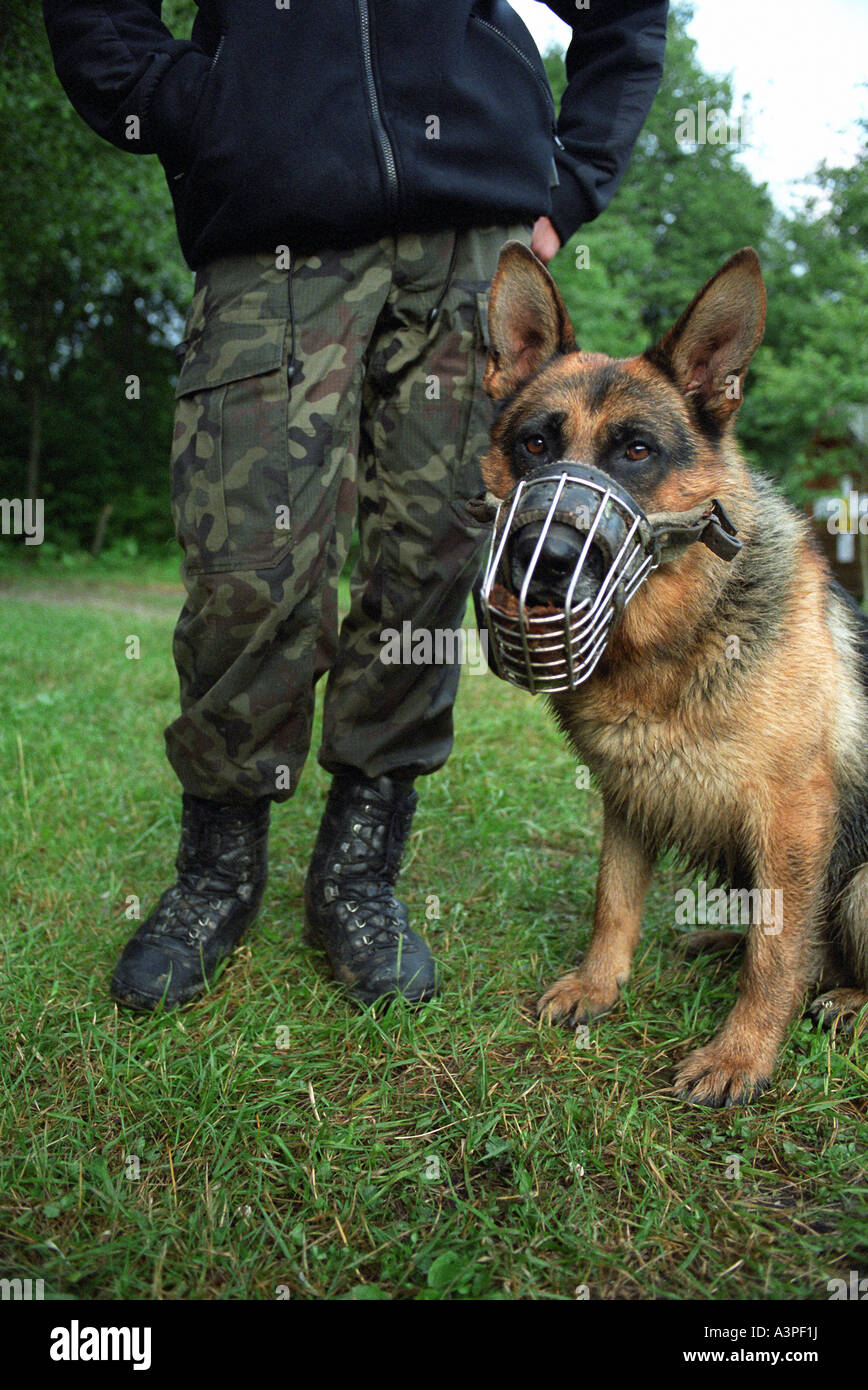 Border patrol with dog hi-res stock photography and images - Alamy