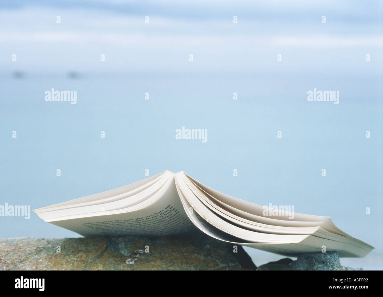 Open book laying face down on rock Stock Photo - Alamy