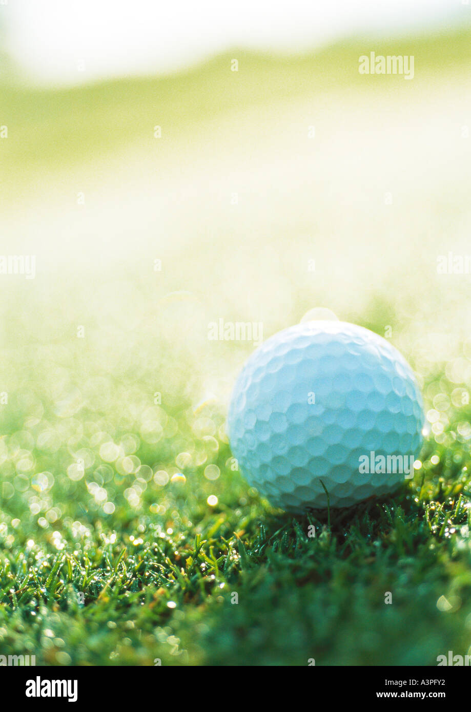 Golf Green Shadow High Resolution Stock Photography and Images - Alamy