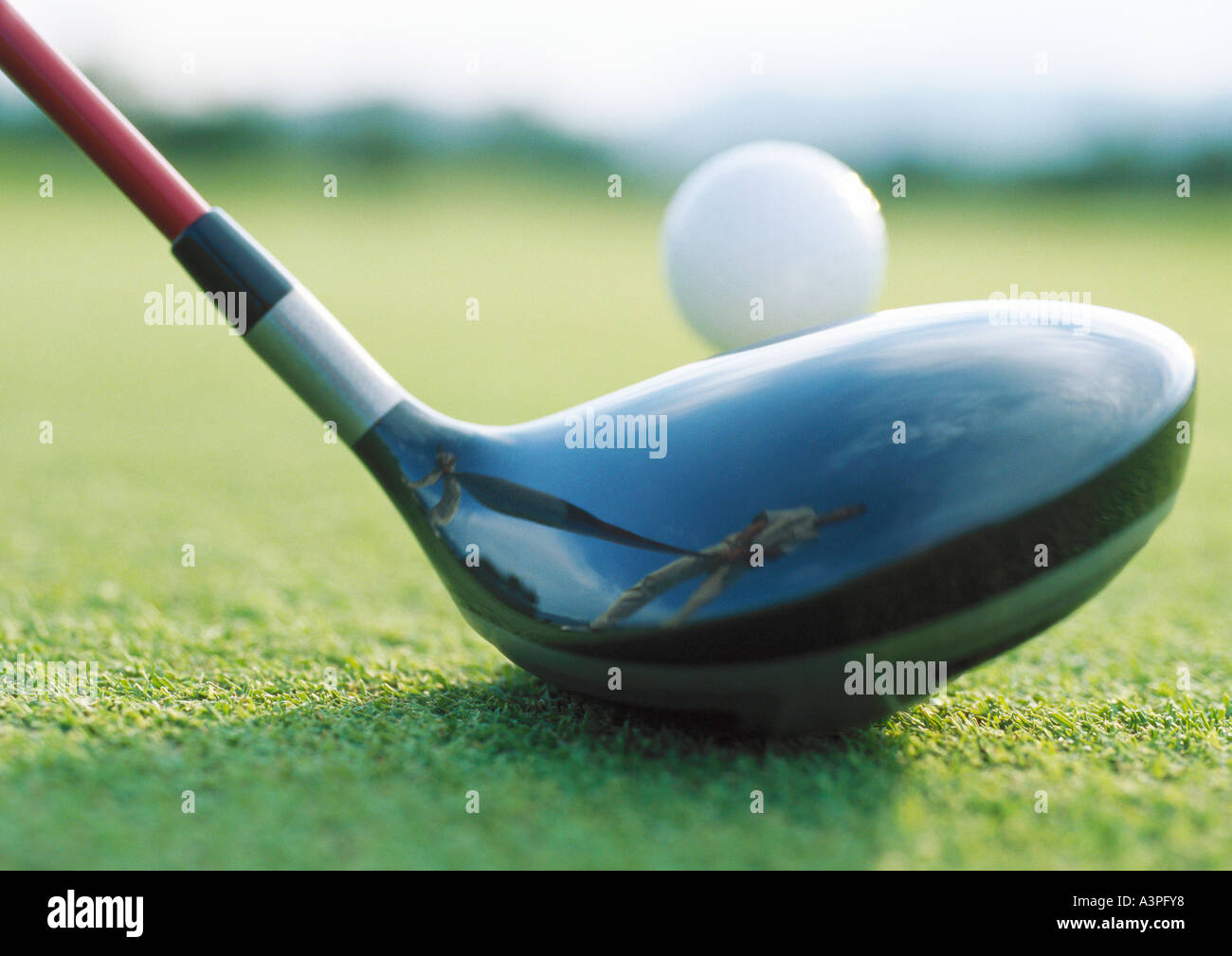 Golf club and ball, close-up Stock Photo - Alamy