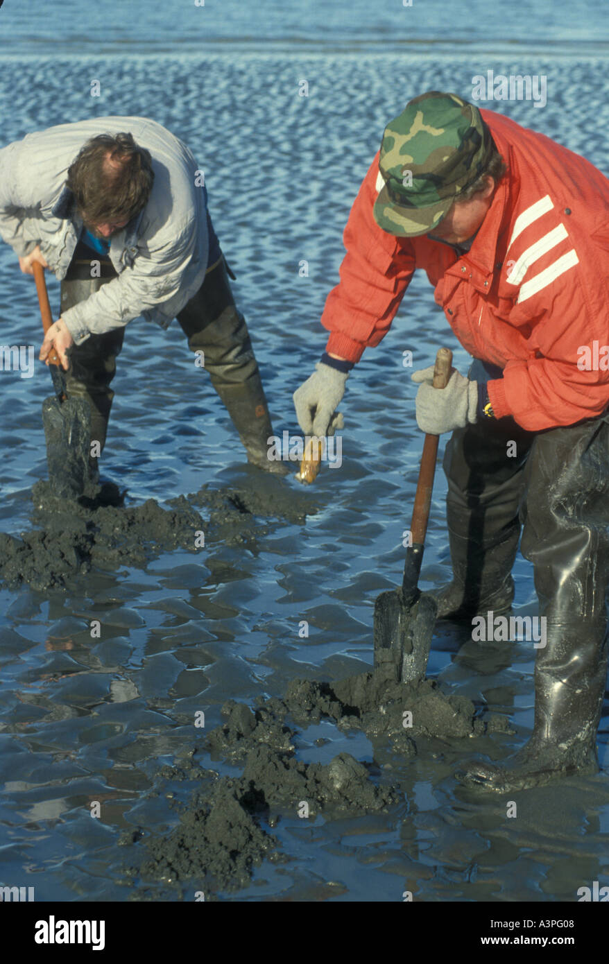 Diggers hi-res stock photography and images - Alamy