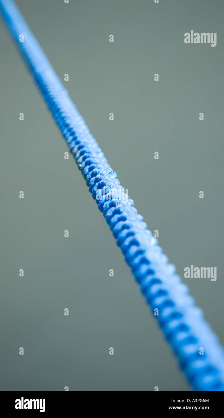 Polypropylene Hawser securing ship Stock Photo - Alamy