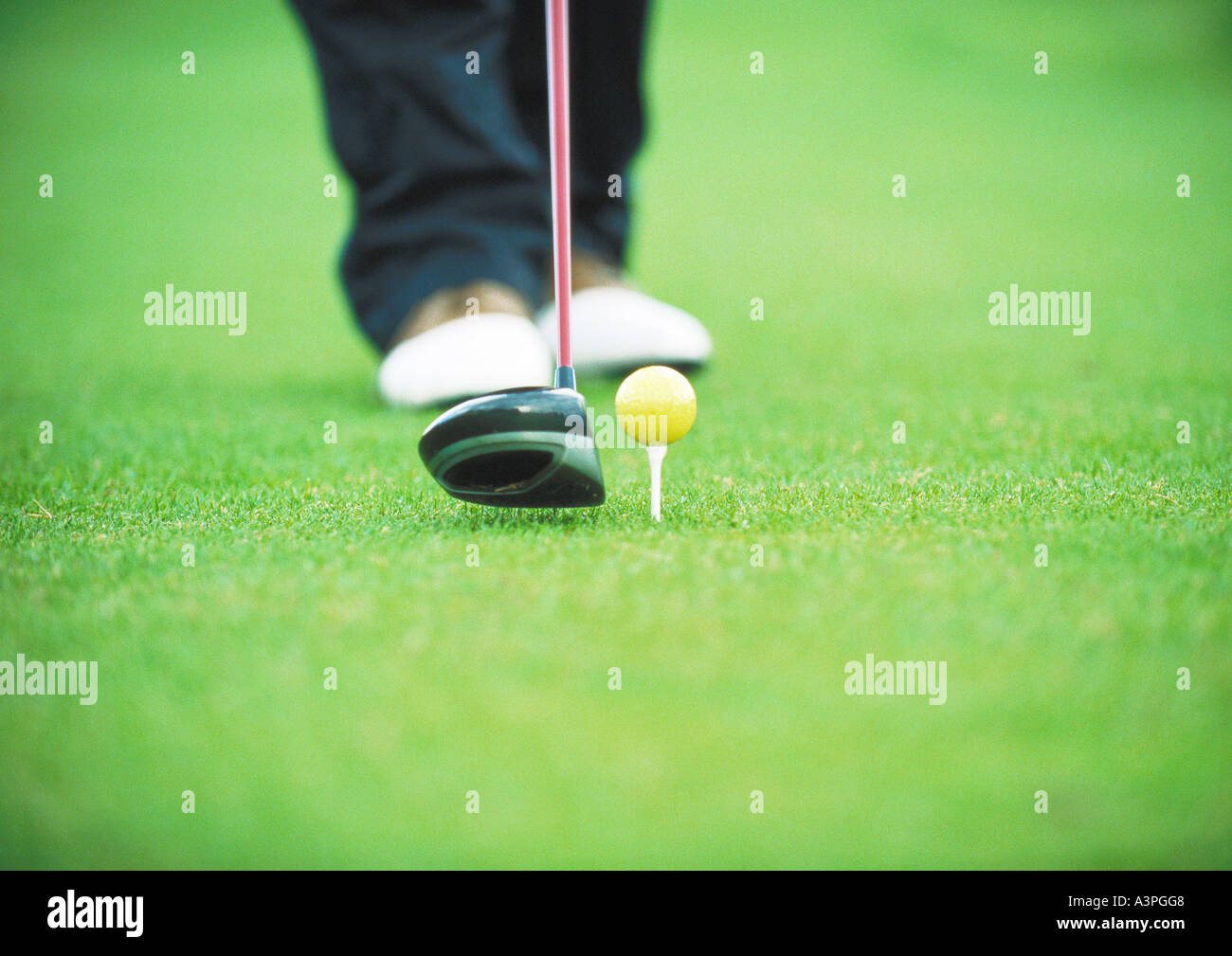 Tee offs hi-res stock photography and images - Alamy