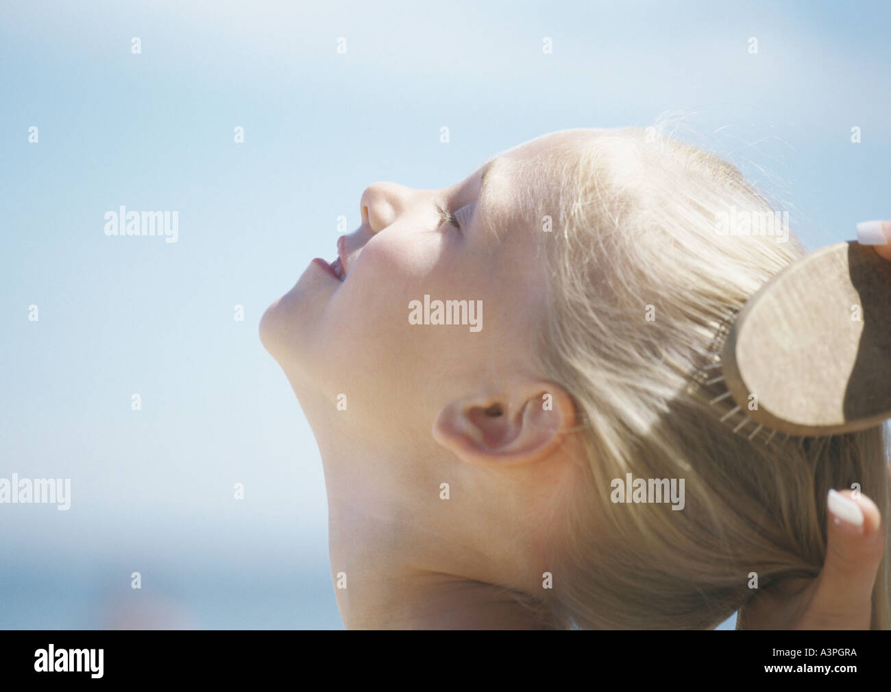 Brushed tail hi-res stock photography and images - Alamy