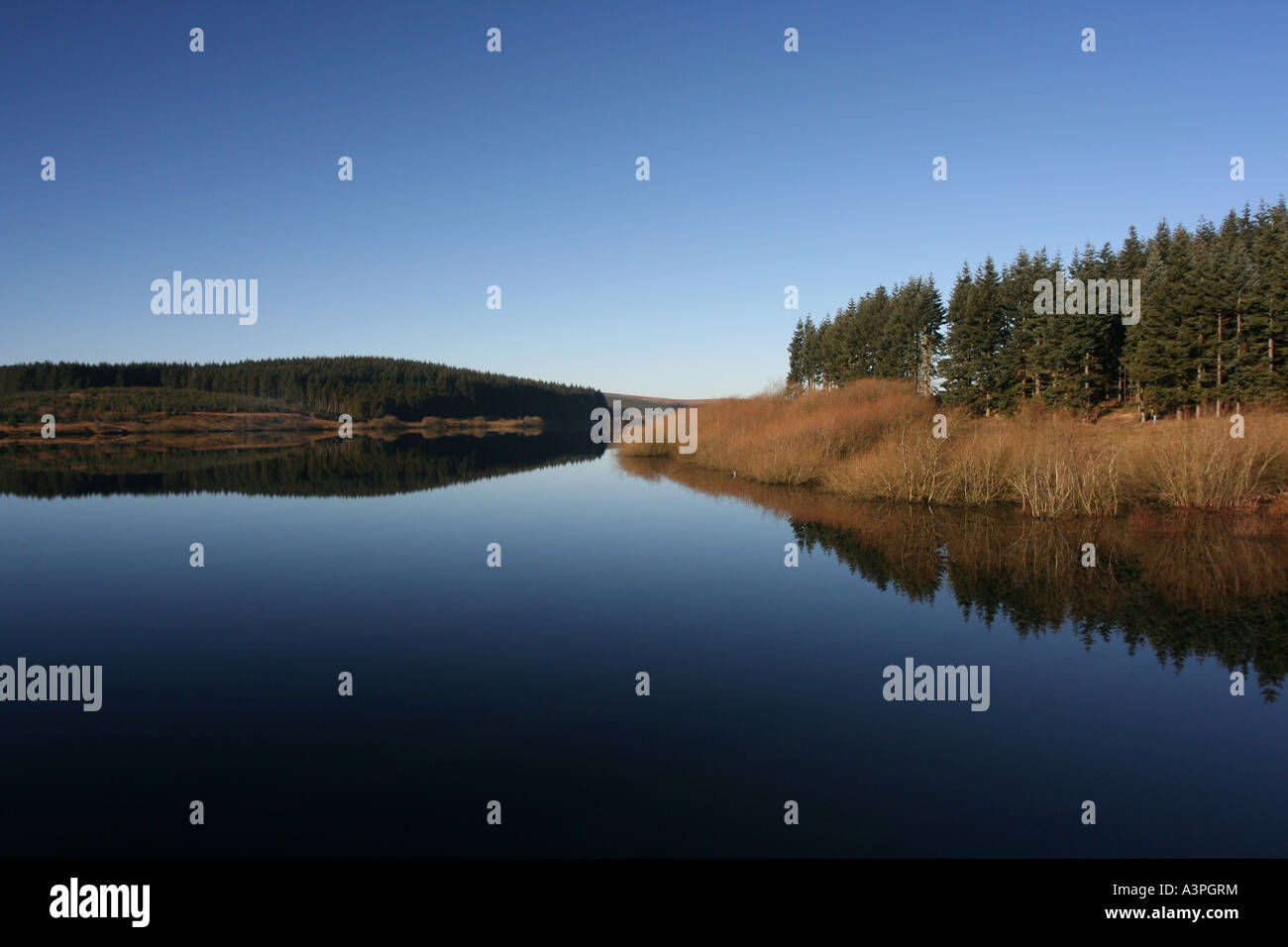 Alwen trail hi-res stock photography and images - Alamy