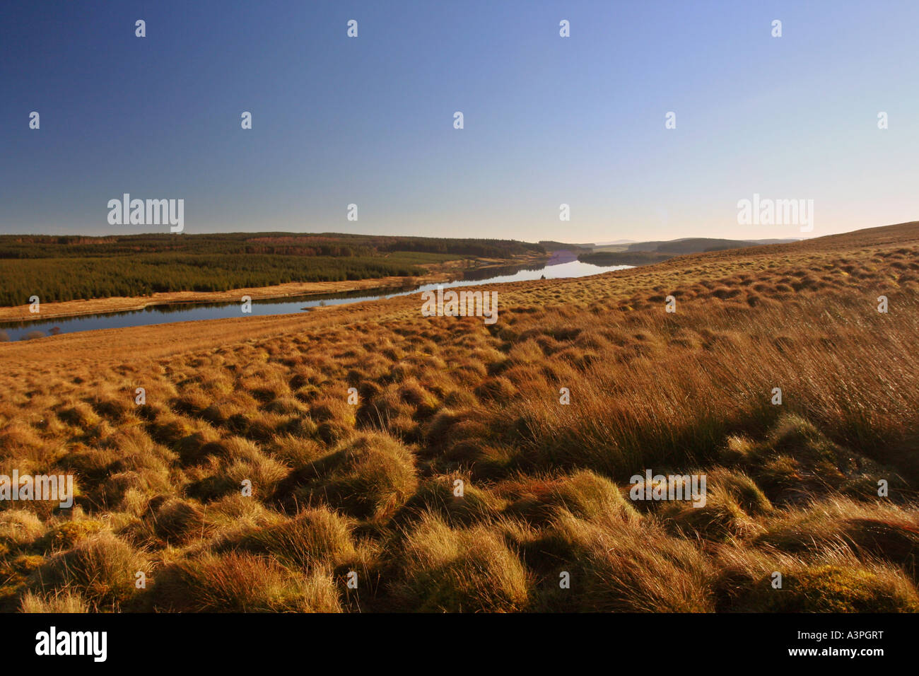 Alwen trail hi-res stock photography and images - Alamy