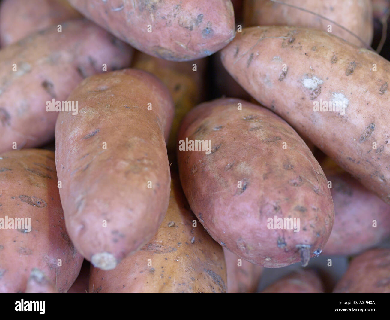 Ware potatoes hi-res stock photography and images - Alamy