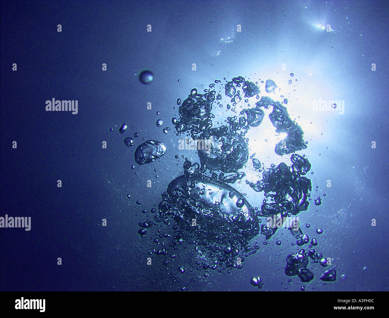 Bubbles rising to a sunburst on the surface from 30ft 10m down in clear ...