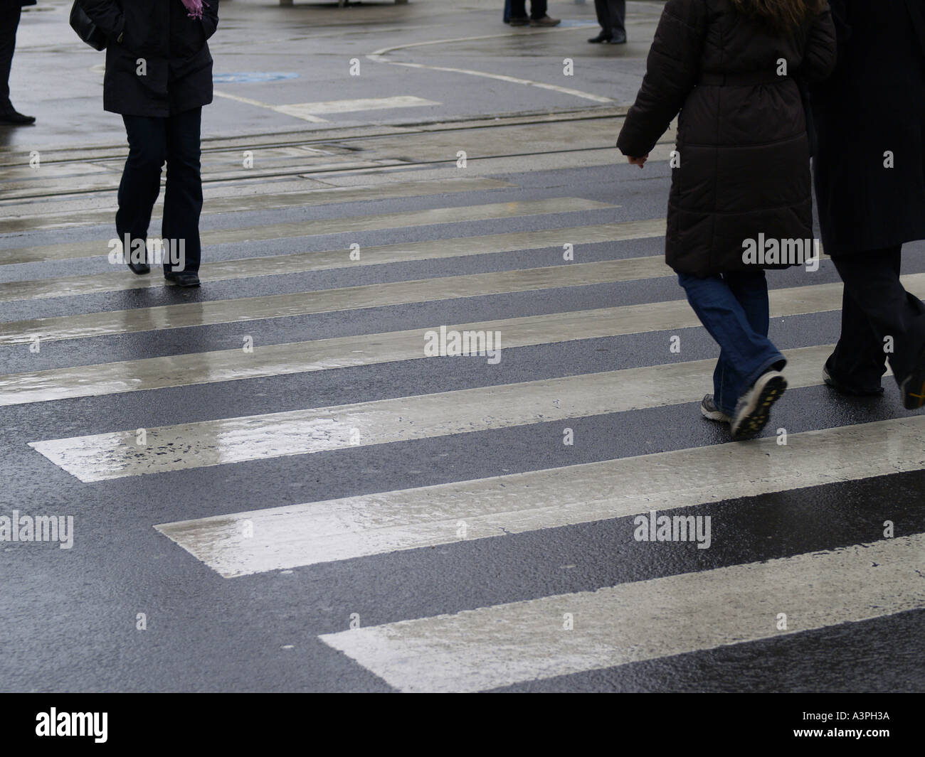 Crosswalk marker line hi-res stock photography and images - Alamy