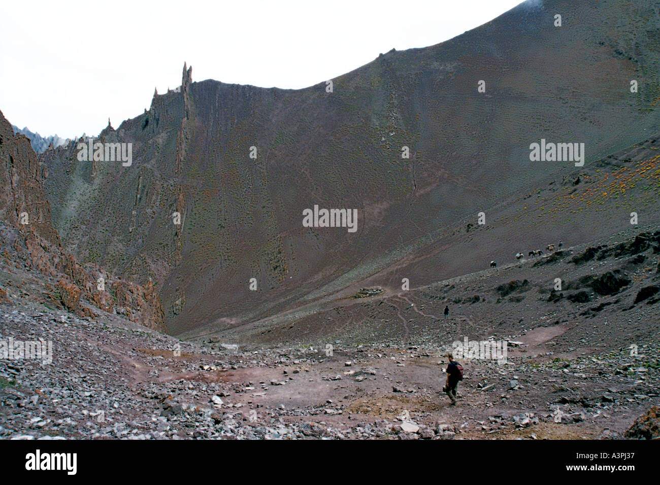 Dry mountain valley near Jinchen Gorge Ladakh Indian Kashmir Stock ...