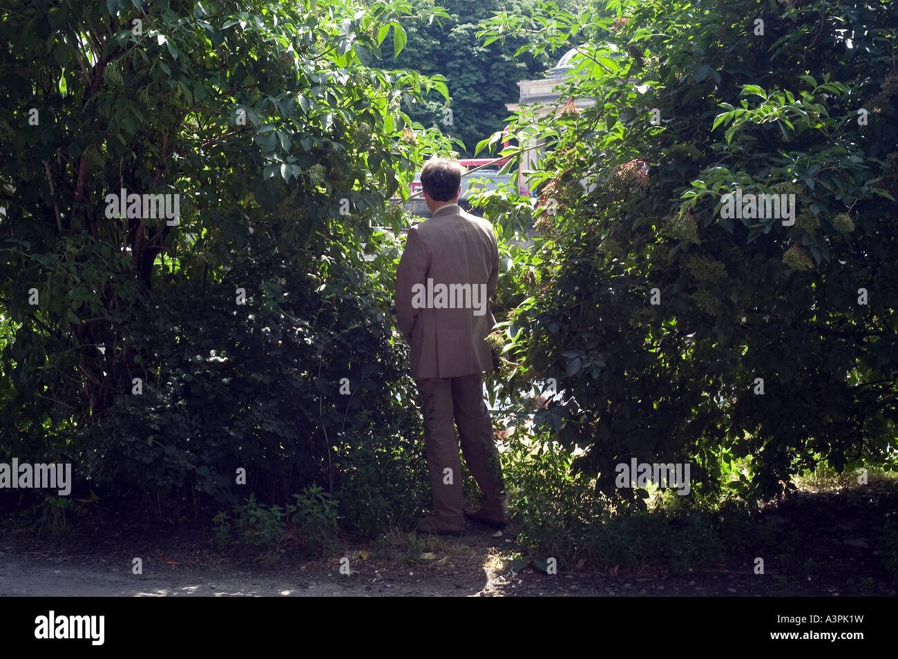A man urinating in a park in Berlin, Germany Stock Photo - Alamy