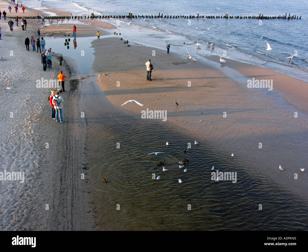 people having a walk on the beach of Heringsdorf island Usedom in ...