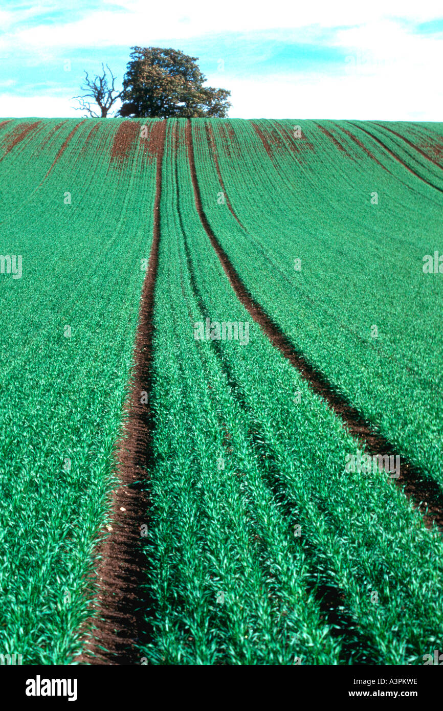 Vertical furrows hi-res stock photography and images - Alamy