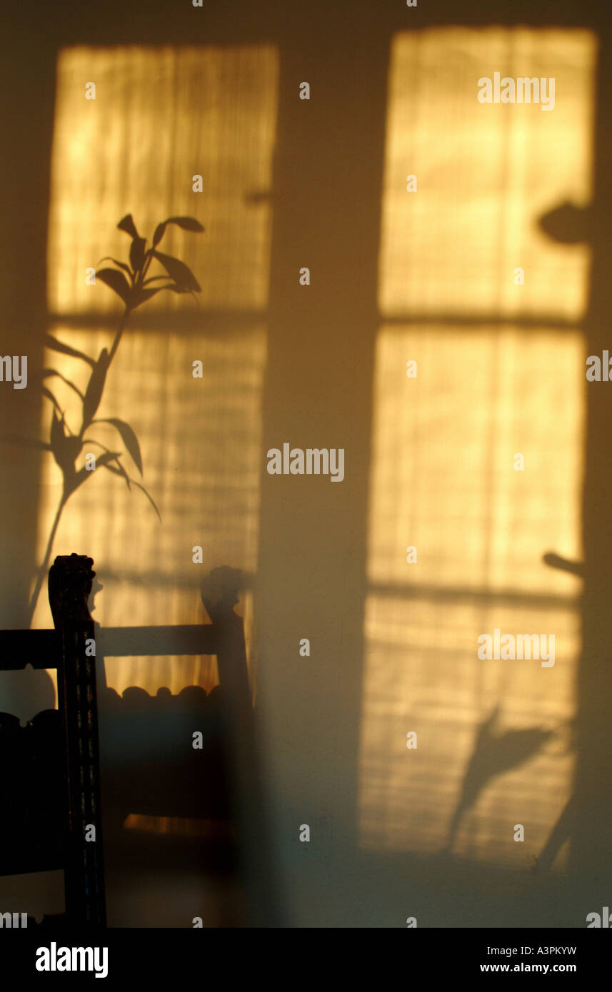 Shadows on a wall Stock Photo - Alamy