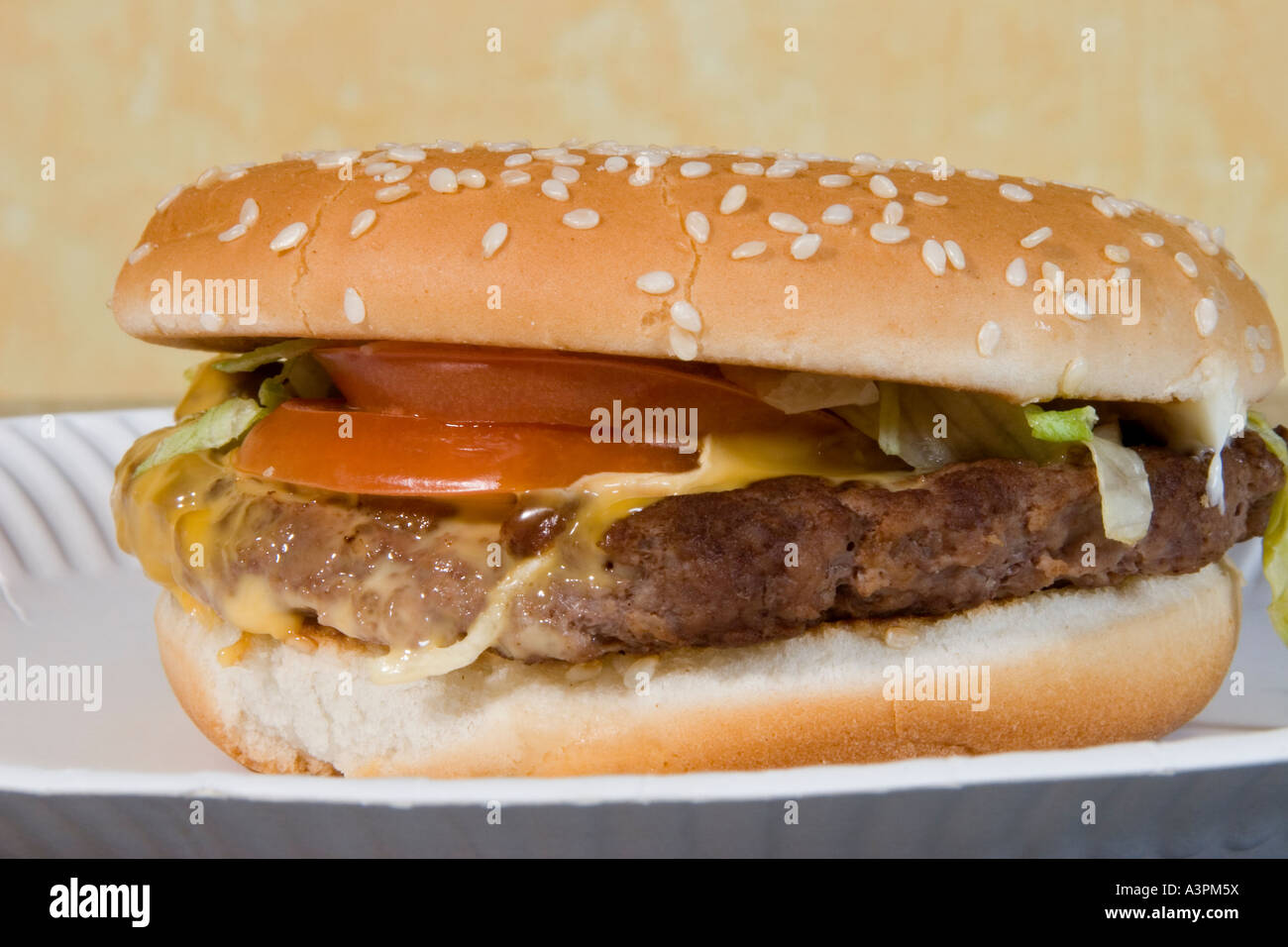 Hamburger Fast Food Stock Photo - Alamy
