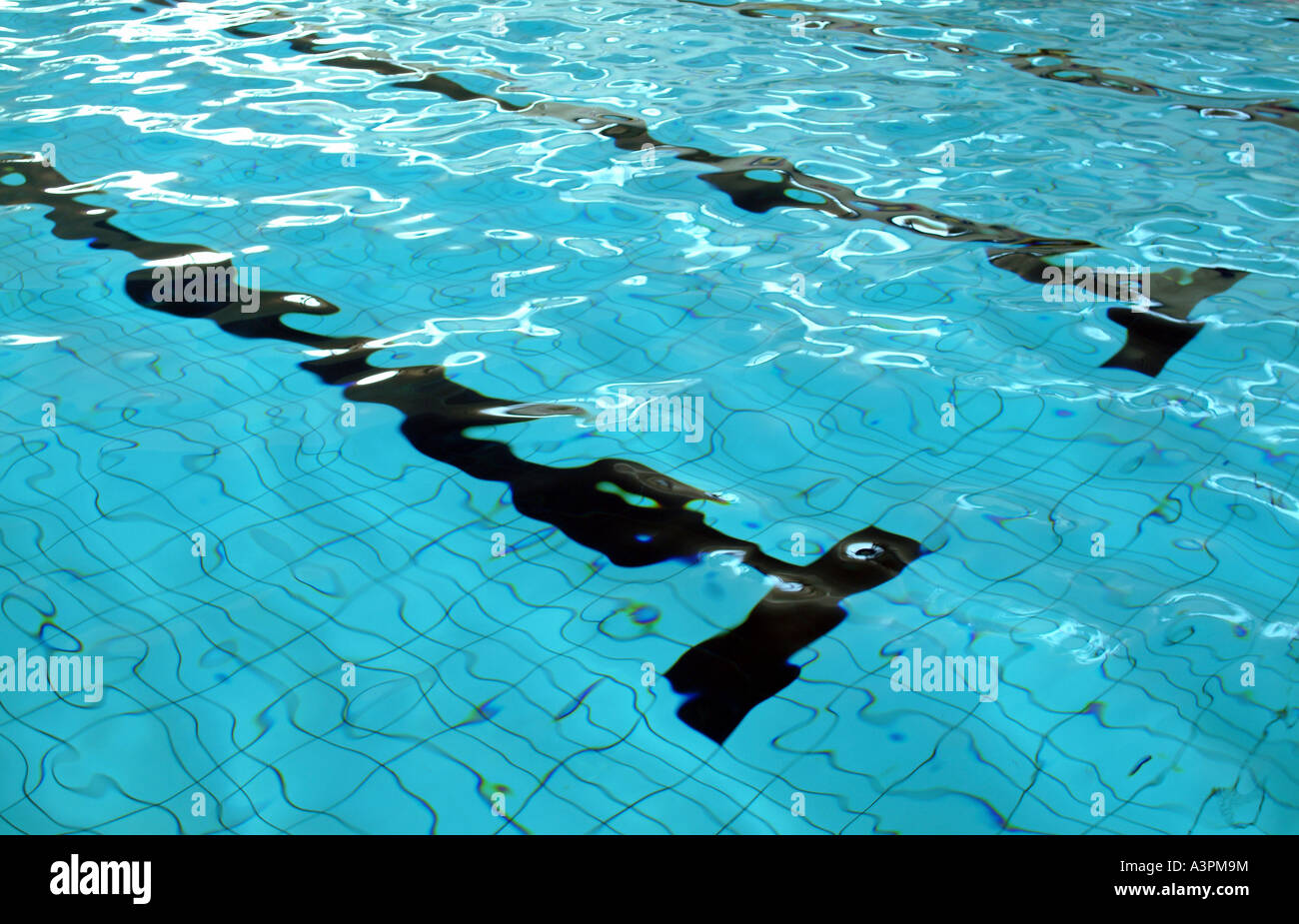 A swimming pool Stock Photo - Alamy