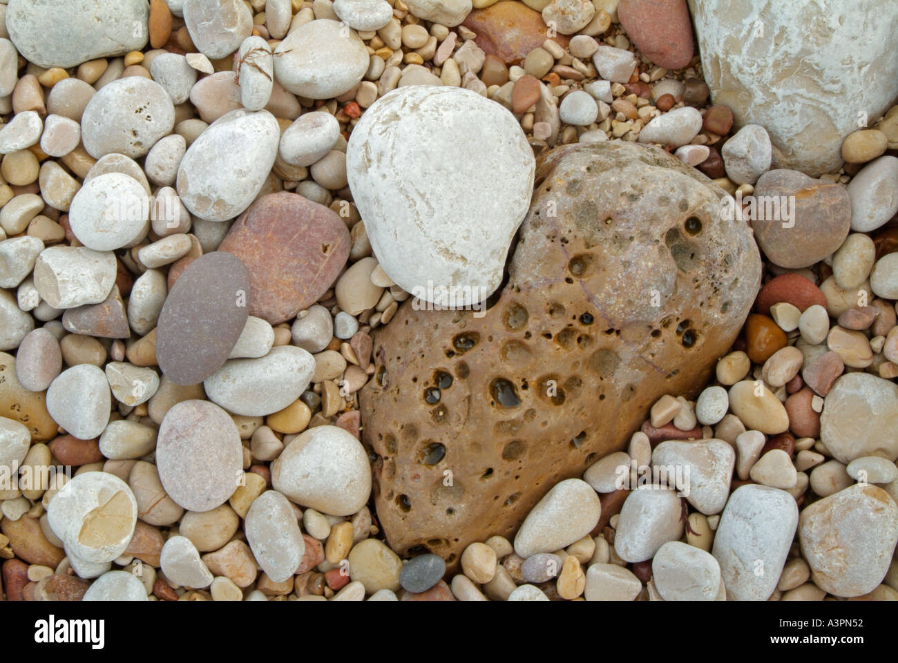 One small white pebble in a mass of smaller coloured ones on a beach in ...