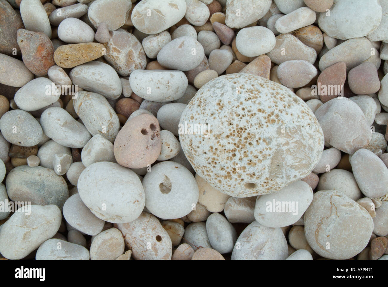 One large white pebble in a mass of smaller coloured ones on a beach in ...