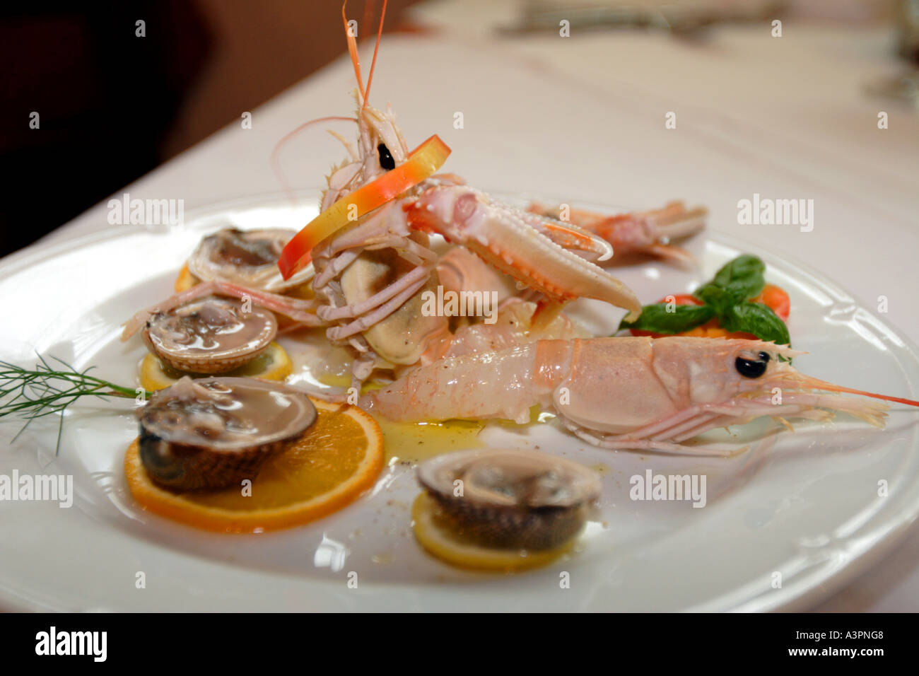europe croatia istrian seafood Stock Photo - Alamy