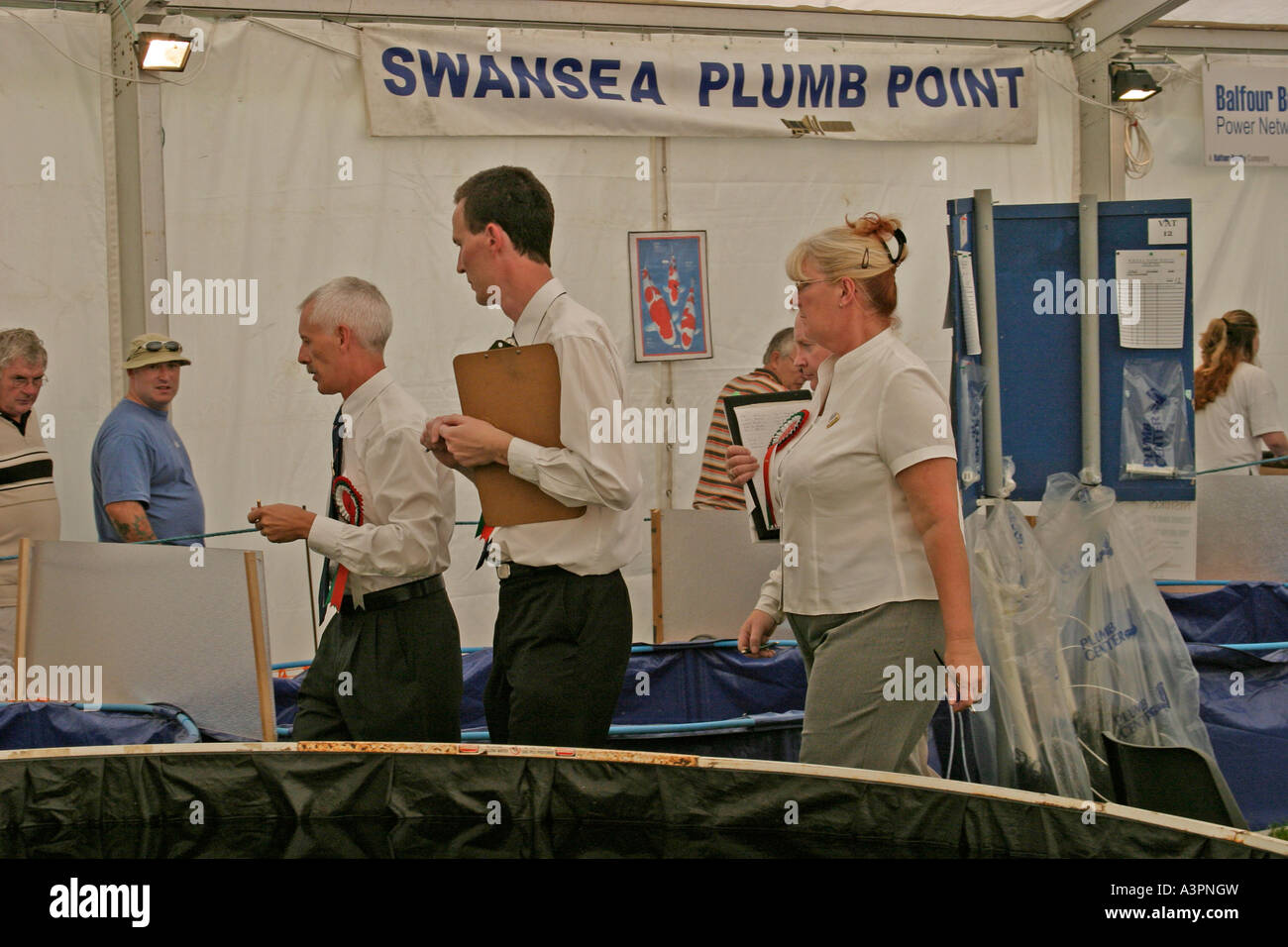Koi show judging the fish Stock Photo - Alamy