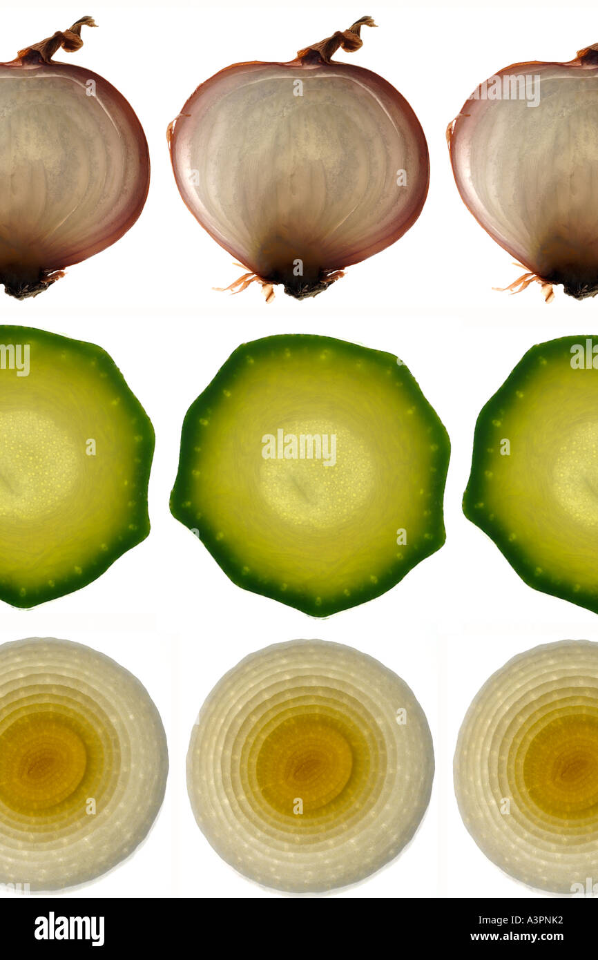 Cross section zucchini Cut Out Stock Images & Pictures - Alamy