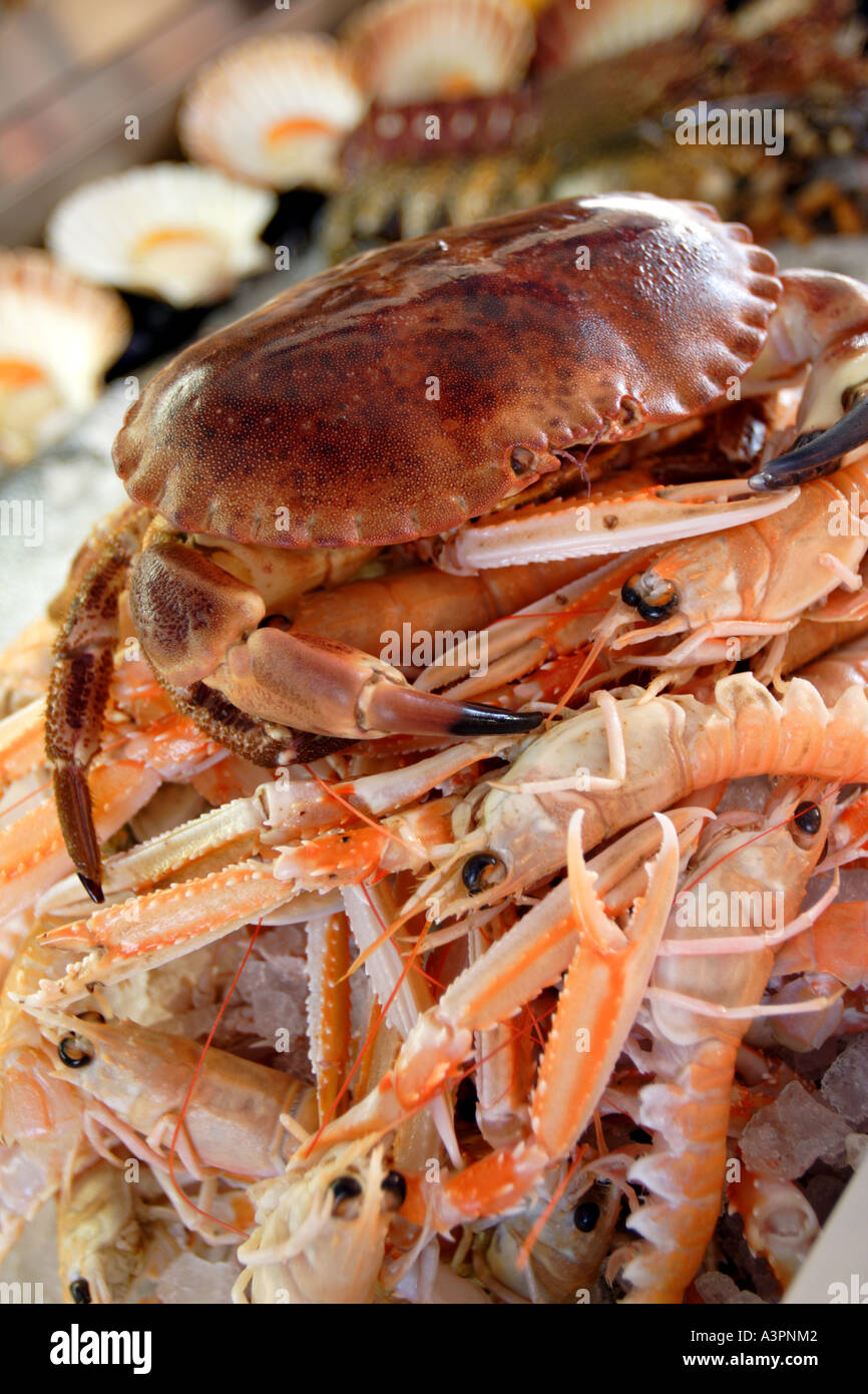 europe croatia istria a fish display outside a restaurant Stock Photo ...