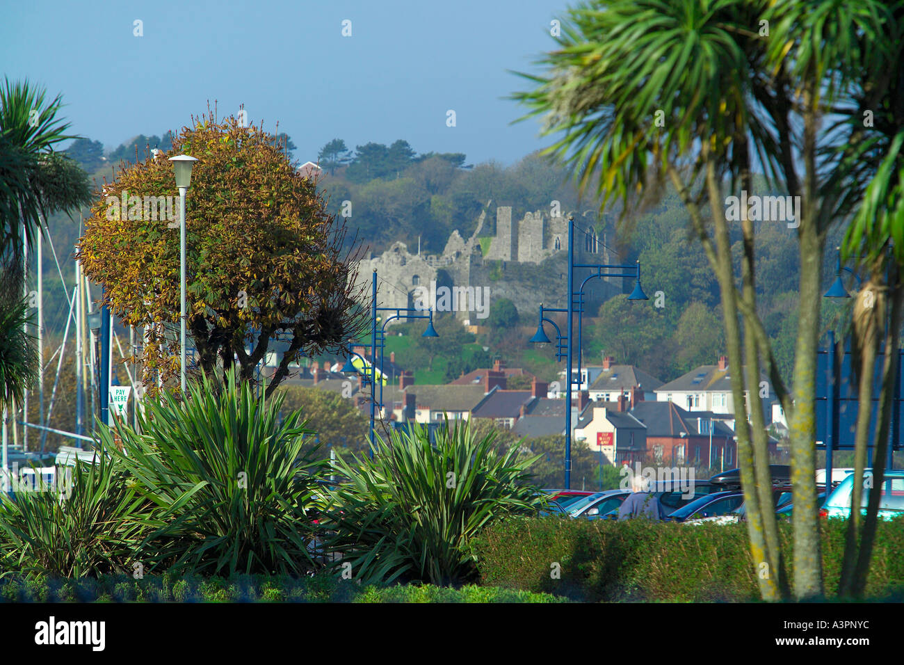 Oystermouth Castle, Mumbles Seafront, Gower, South Wales Stock Photo ...