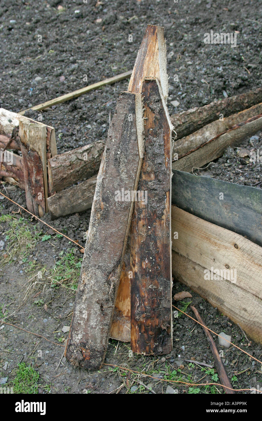 Softwood bed hi-res stock photography and images - Alamy