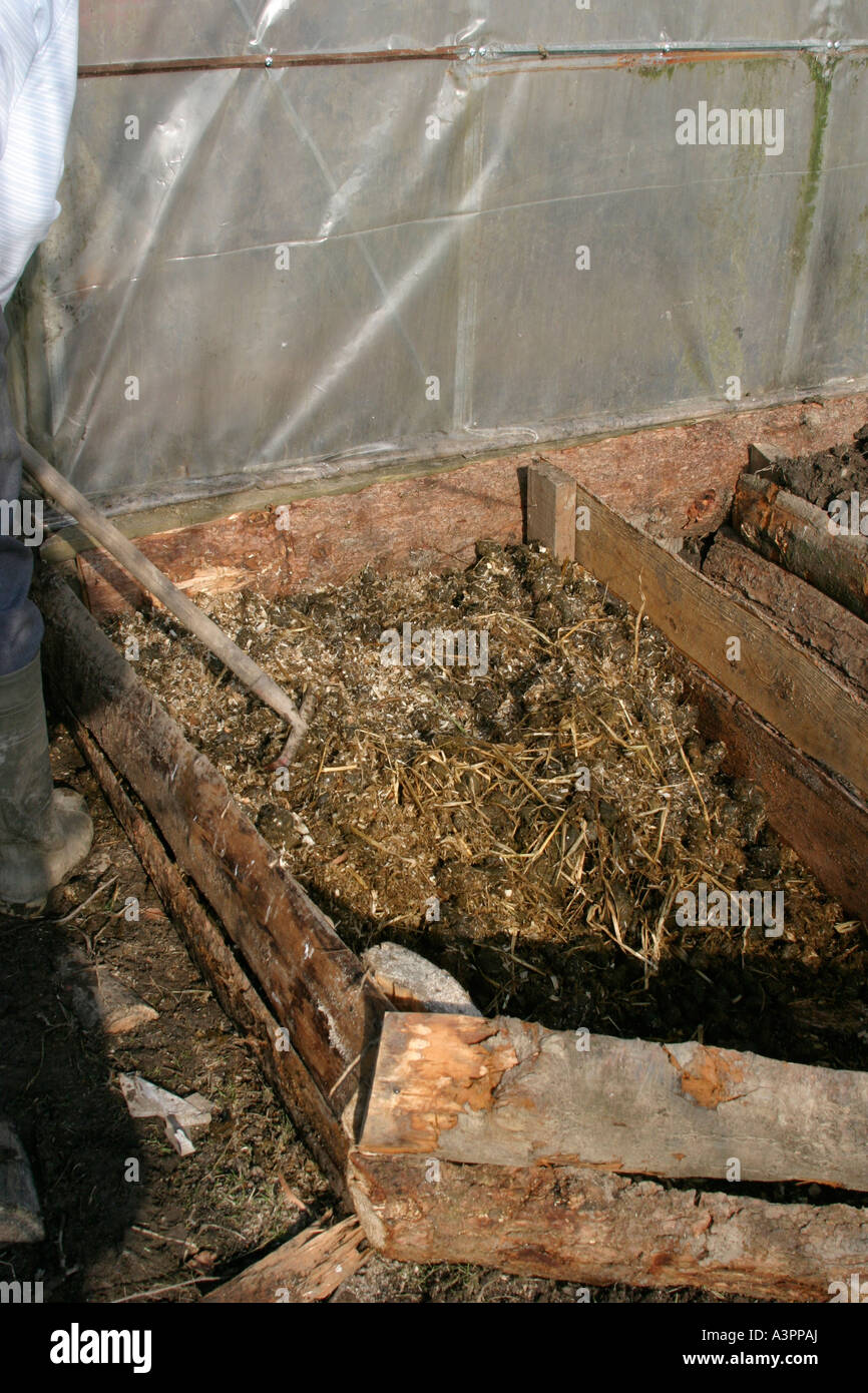 Making a hot bed Step 5 rake out manure to give a level bed Stock Photo ...
