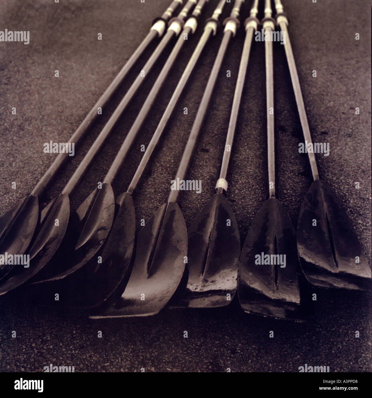 Rowing Oars Wallpaper