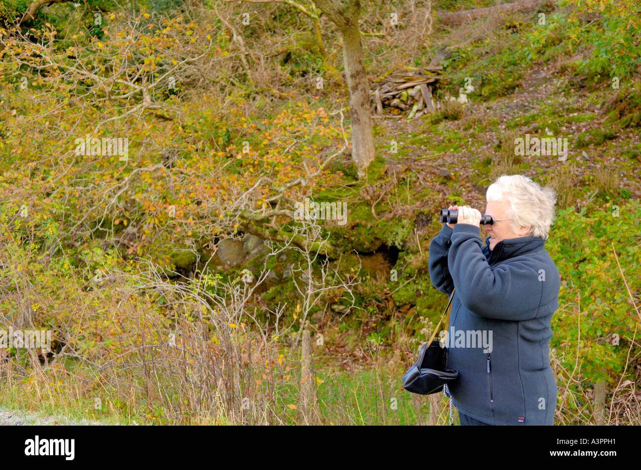 Female lady person birdwatching hi-res stock photography and images - Alamy