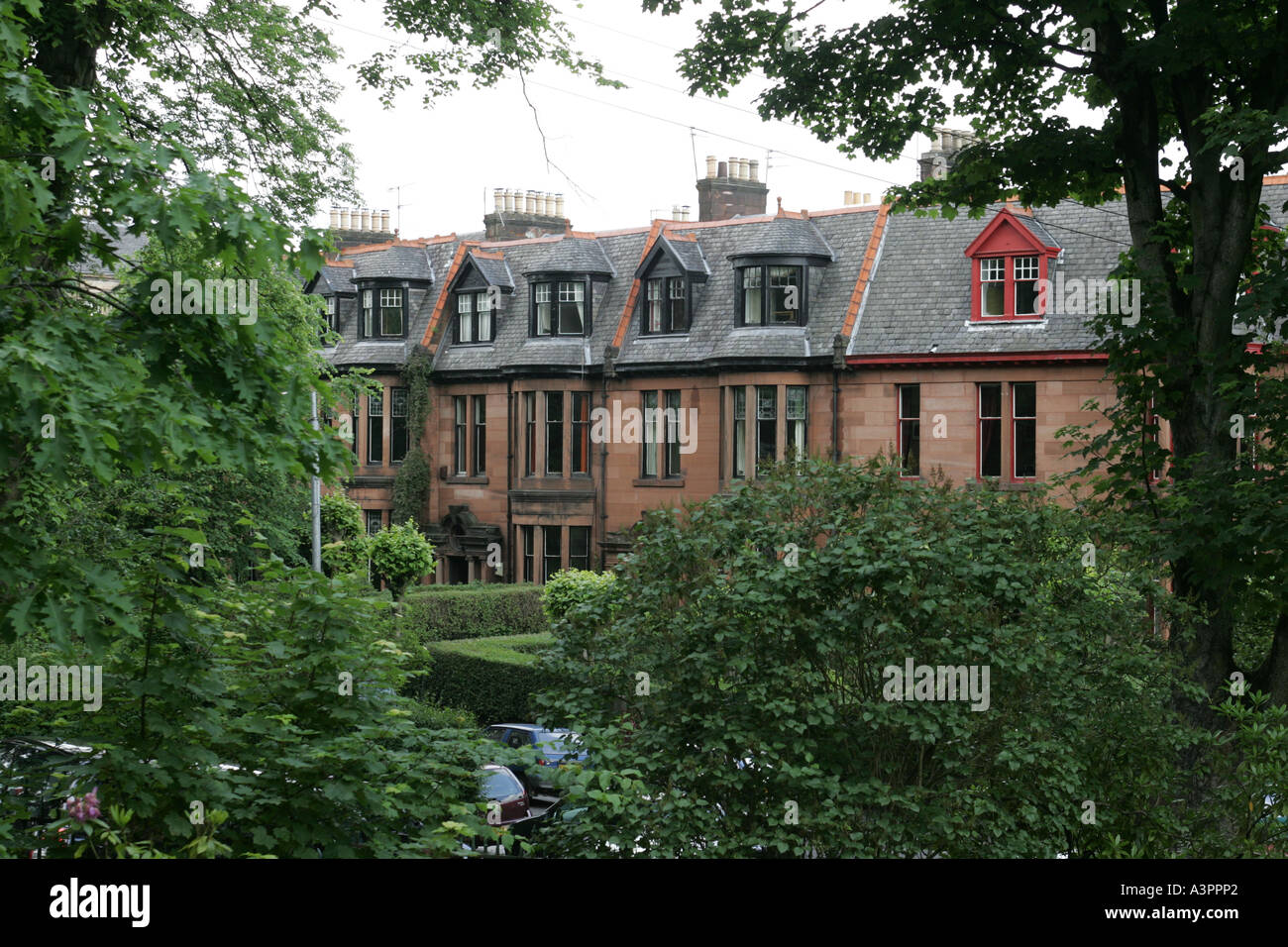Leafy suburbs of Glasgow's west end, Scotland Stock Photo - Alamy