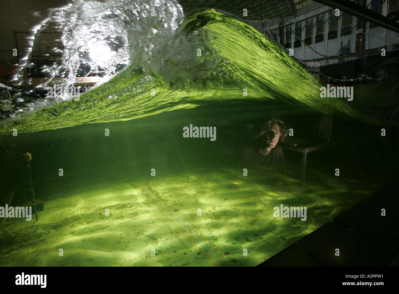 Gregory Payne, PhD student carrying out Wave Power Conversion research ...