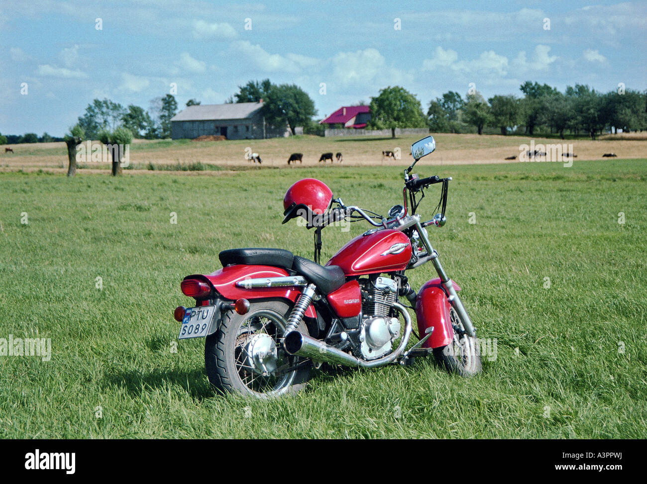 A Suzuki motorcycle on a meadow, Kaweczyn, Poland Stock Photo - Alamy
