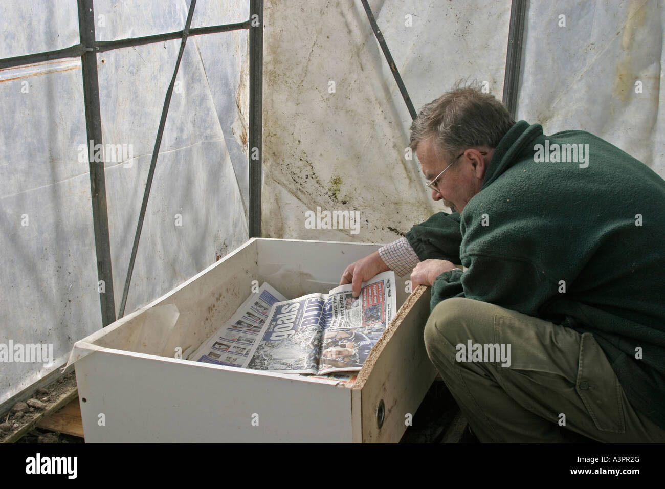Seed tray newspaper hi-res stock photography and images - Alamy