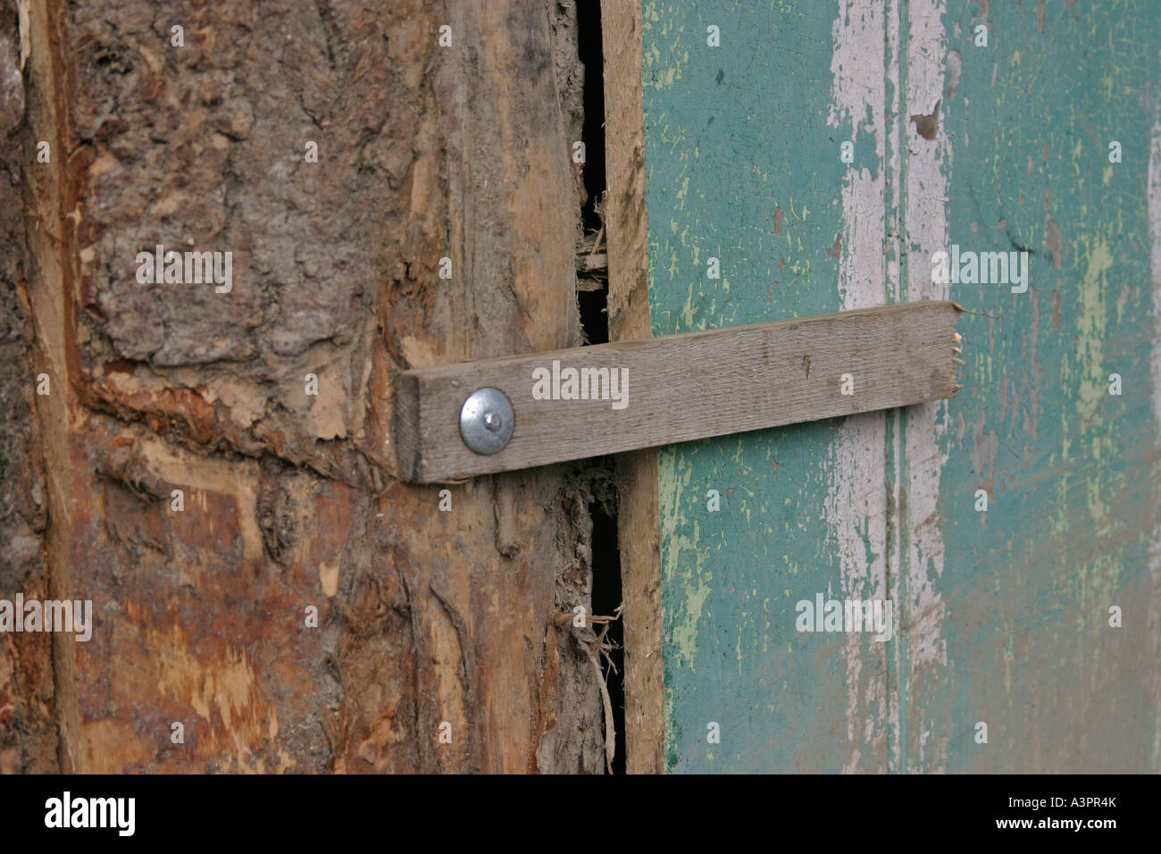 Building a garden shed -simple door catch Stock Photo - Alamy