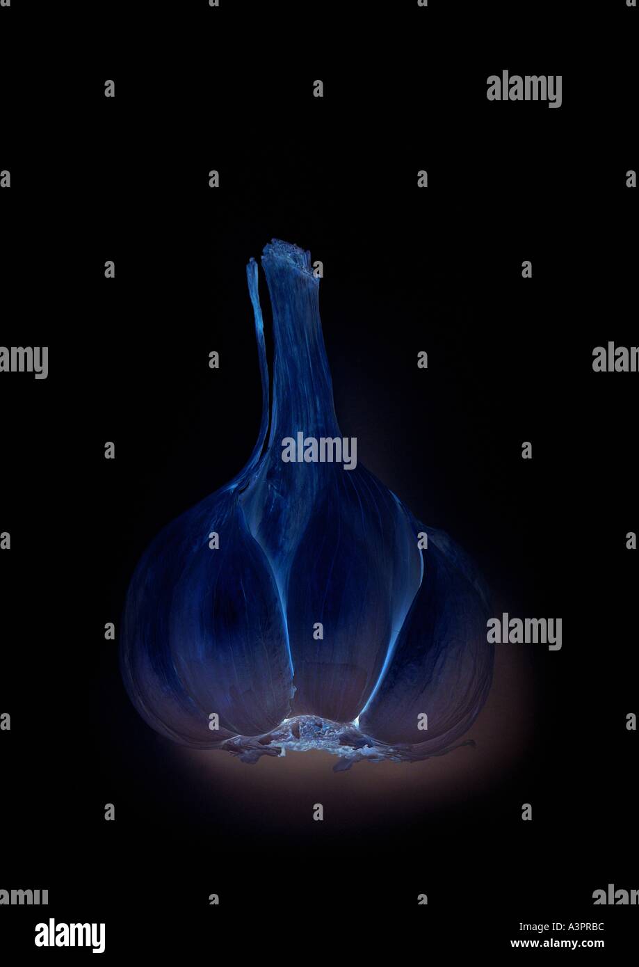 Vertical shot seasoned vegetables hi-res stock photography and images ...