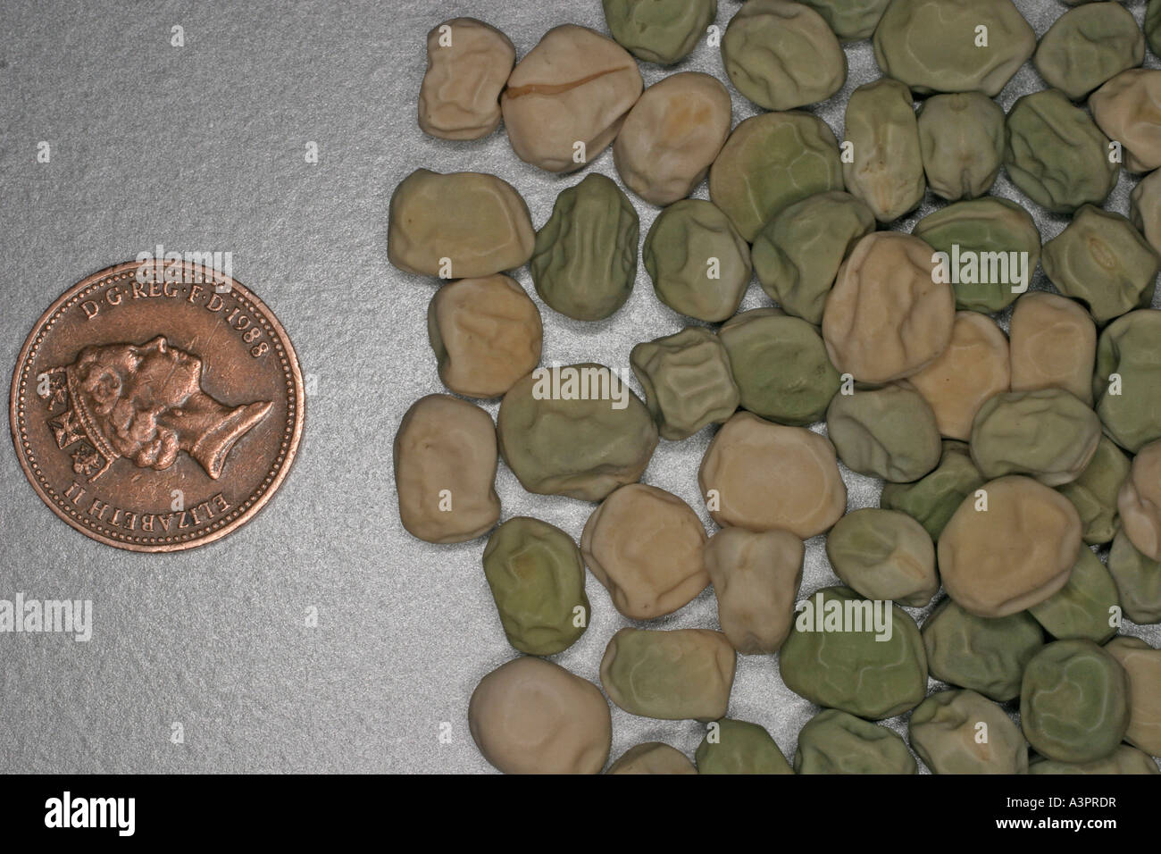 Pea early onward hi-res stock photography and images - Alamy